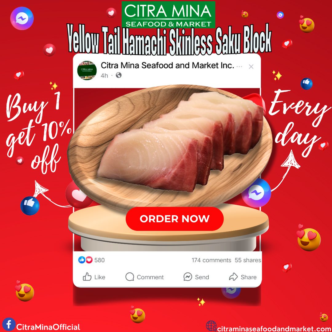 Frozen Yellow Tail Hamachi Skin less Saku Block (250-350 Grams) – Citra ...